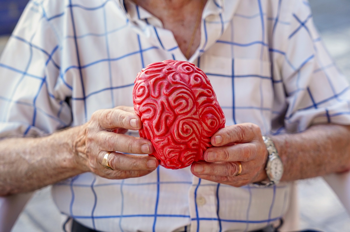 Social and Physical Environments Influence the Rate of Brain Aging and ...