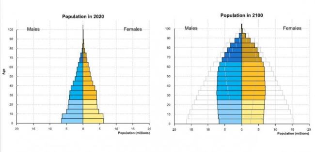 Towards a Longitudinal Study of Egyptian Healthy Aging | Global Brain ...