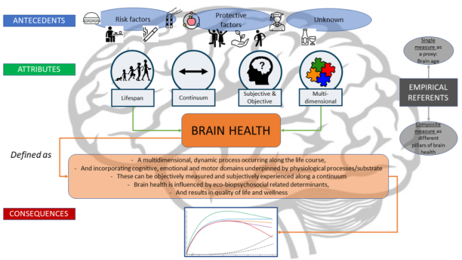 A Concept Analysis and a Definition for Brain Health | Global Brain ...