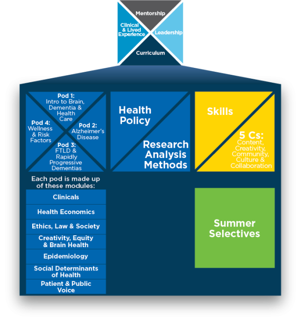 Curriculum | Global Brain Health Institute